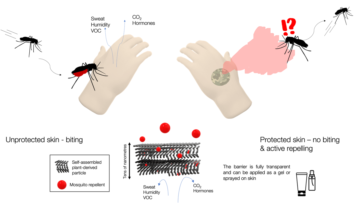 A Novel (plant-based) Skin Camouflage for Mosquito Bite Prevention - Yissum